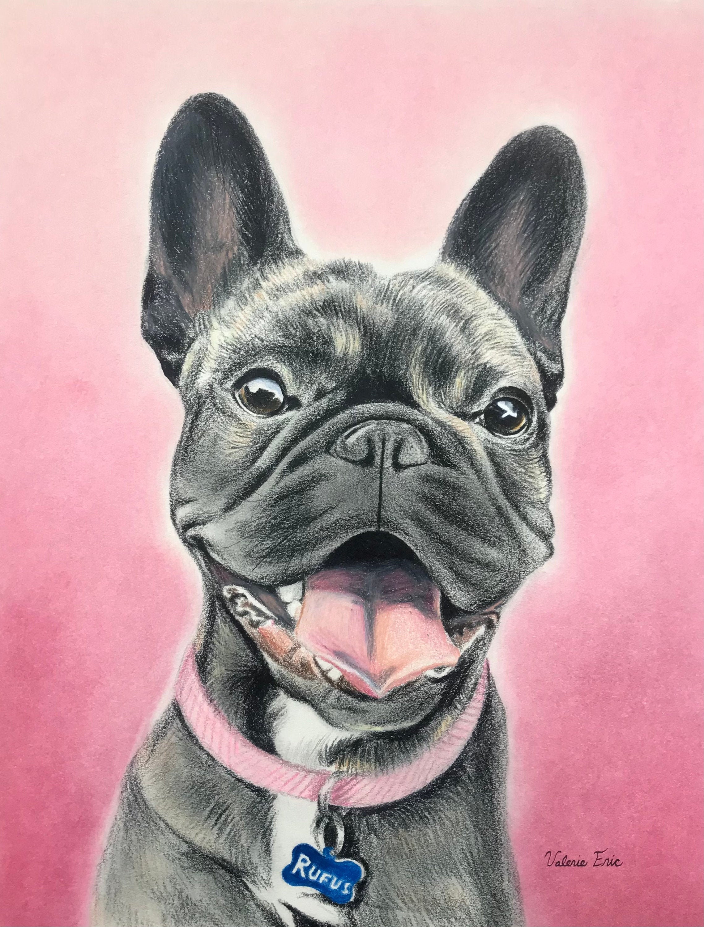 Colored Pencil Dog Portrait Drawing - Etsy