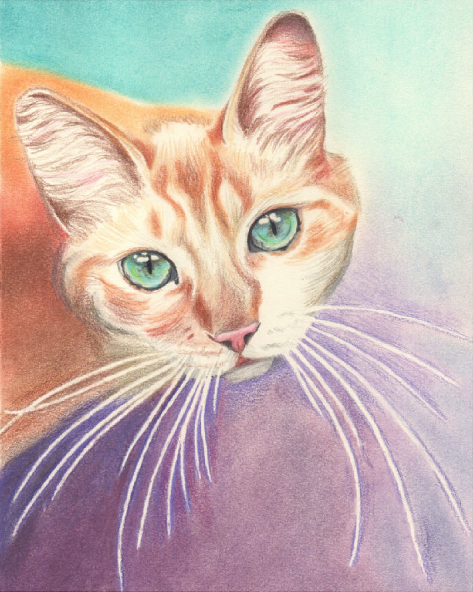 Colored Pencil Cat Portrait Drawing | Etsy