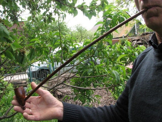 Very Super Long Magnificent Smoking Pipe With a Deep Well for | Etsy