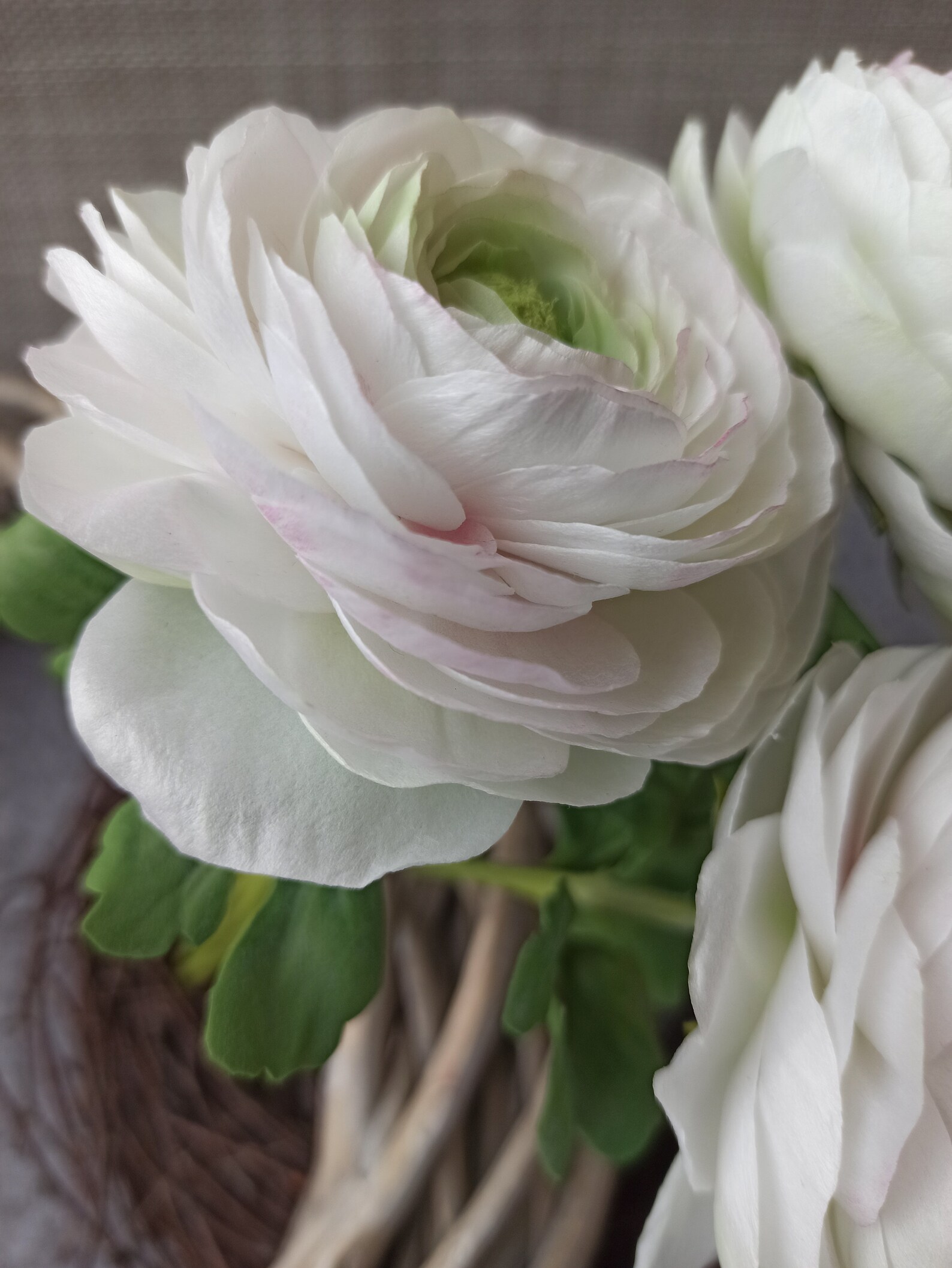 White Ranunculus Bride Bouquet of Ranunculi Real Touch | Etsy