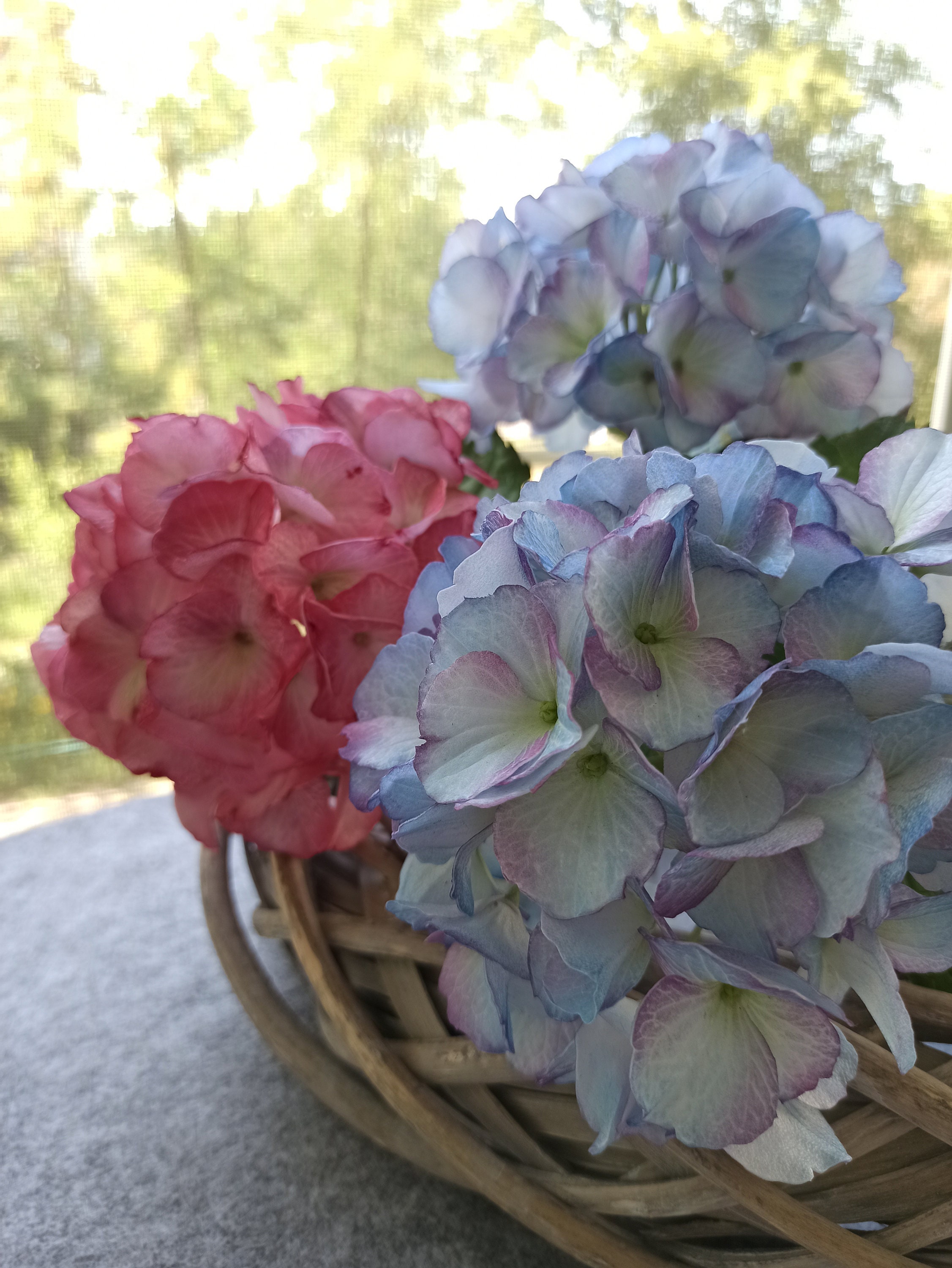 Light Blue Hydrangea Artificial Real Touch Hydrangea - Etsy