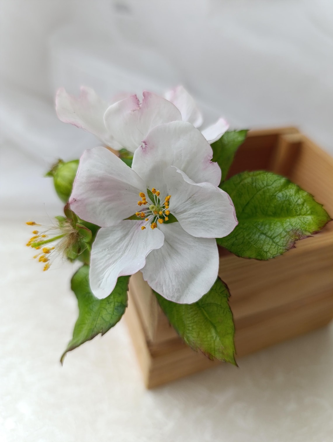 Cold Porcelain Apple Blossom, Branch of Blossoming Apple Tree, Spring ...