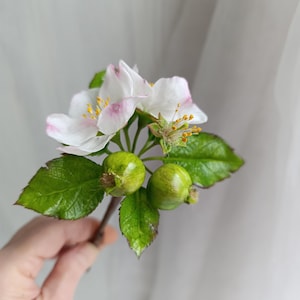Cold Porcelain Apple Blossom, Branch of Blossoming Apple Tree, Spring ...