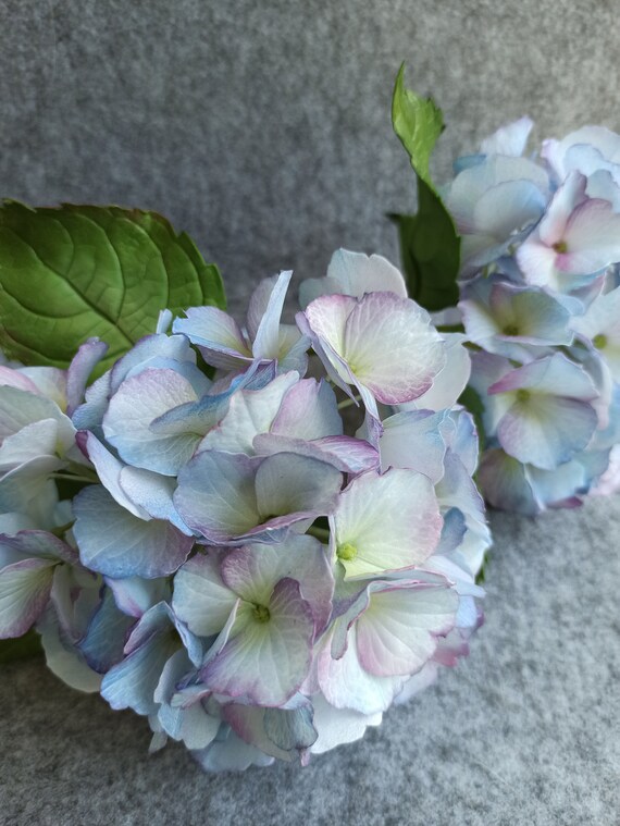Light Blue Hydrangea Artificial Real Touch Hydrangea - Etsy