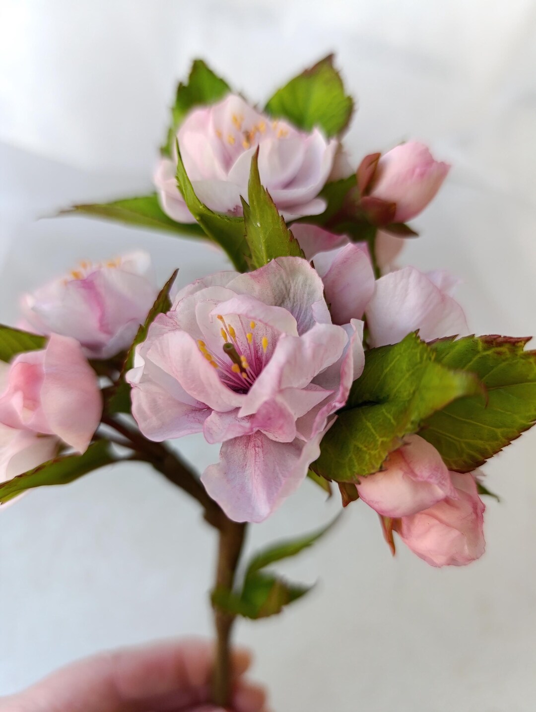 Polymer Clay Sakura ,A Branch of Japanese Cherry, Spring Blossom - Etsy