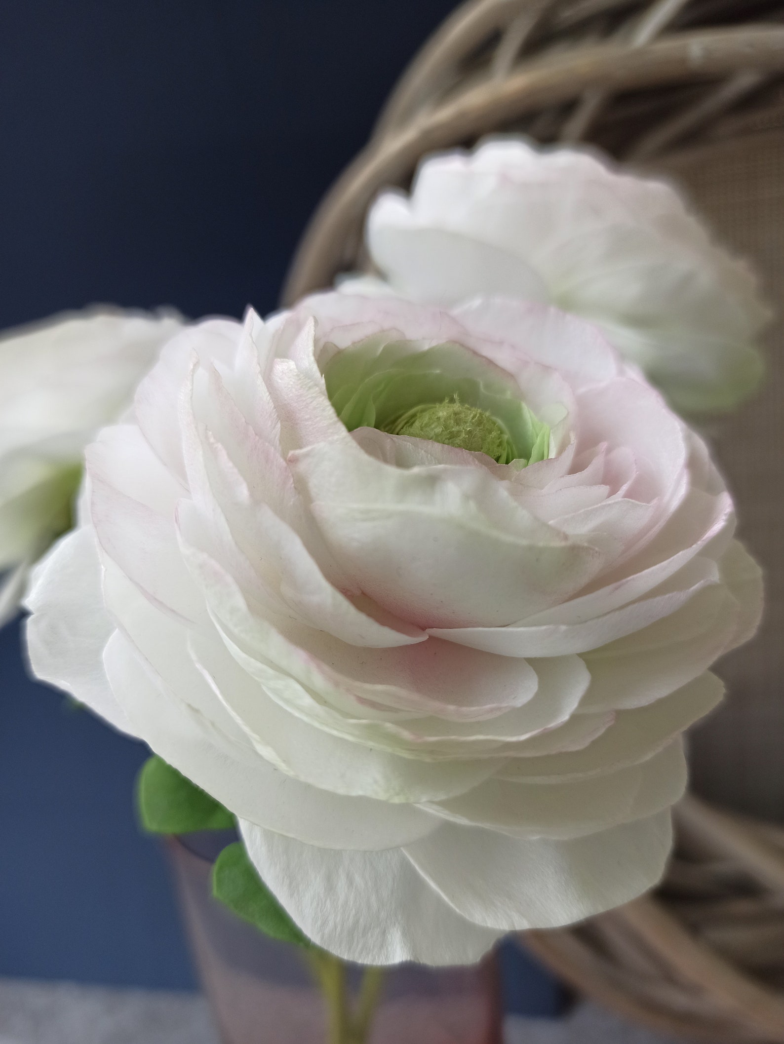 White Ranunculus Bride Bouquet of Ranunculi Real Touch | Etsy