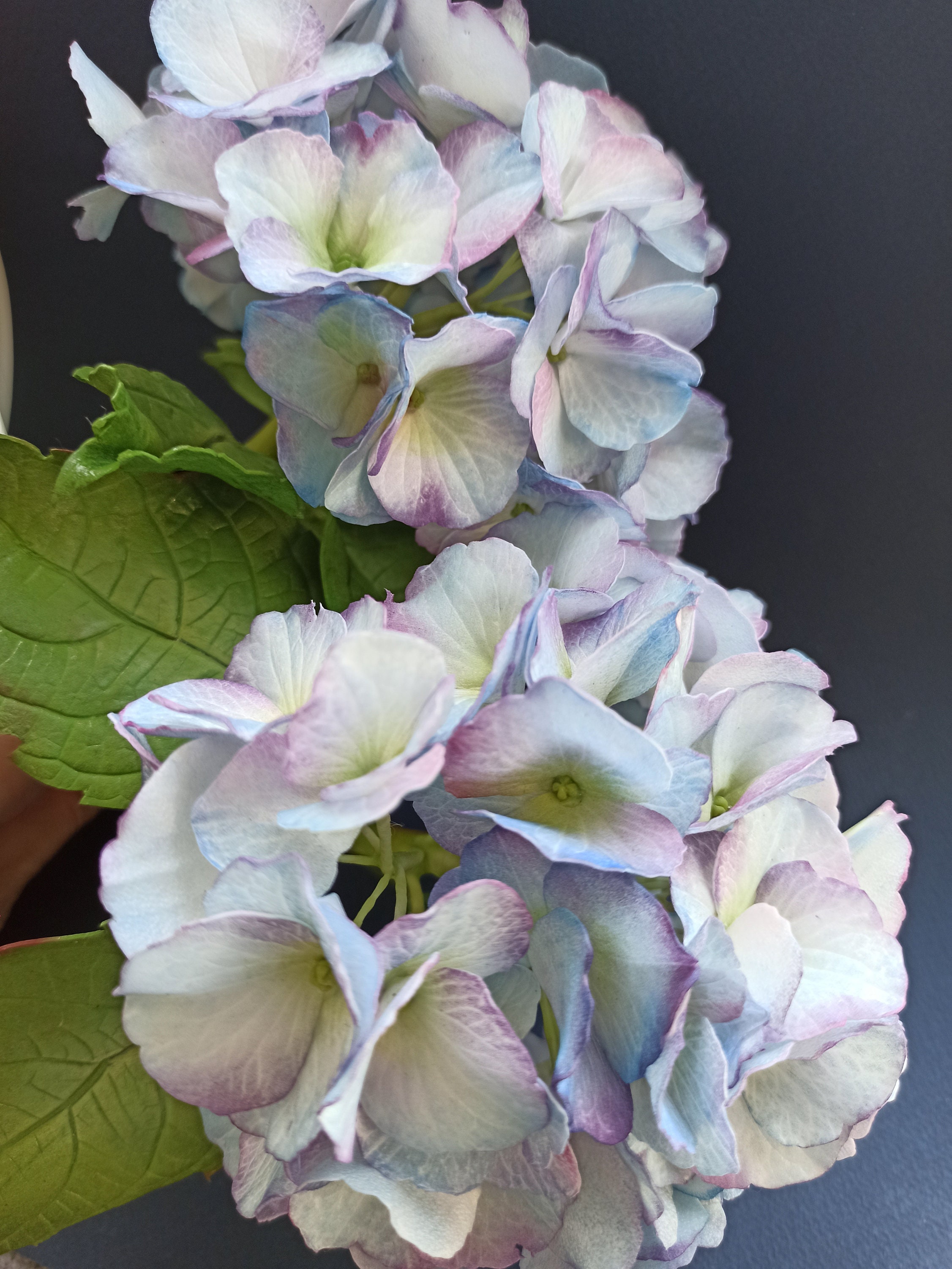 Light Blue Hydrangea Artificial Real Touch Hydrangea - Etsy