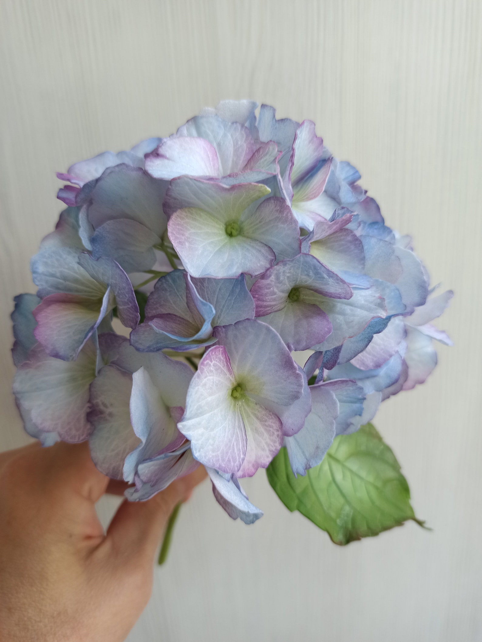 Light Blue Hydrangea Artificial Real Touch Hydrangea - Etsy