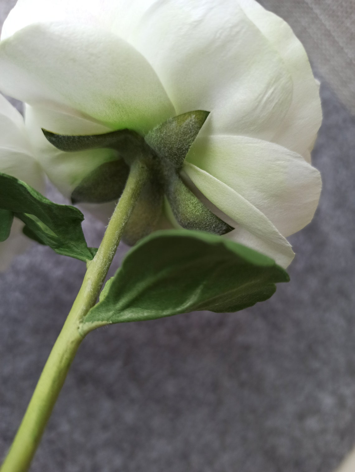 White Ranunculus Bride Bouquet of Ranunculi Real Touch | Etsy