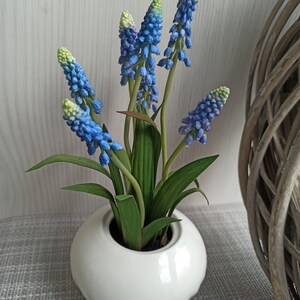 Blue Baby Grape Hyacinths, Realistic Mini Hyacinth in Vase,atificial ...
