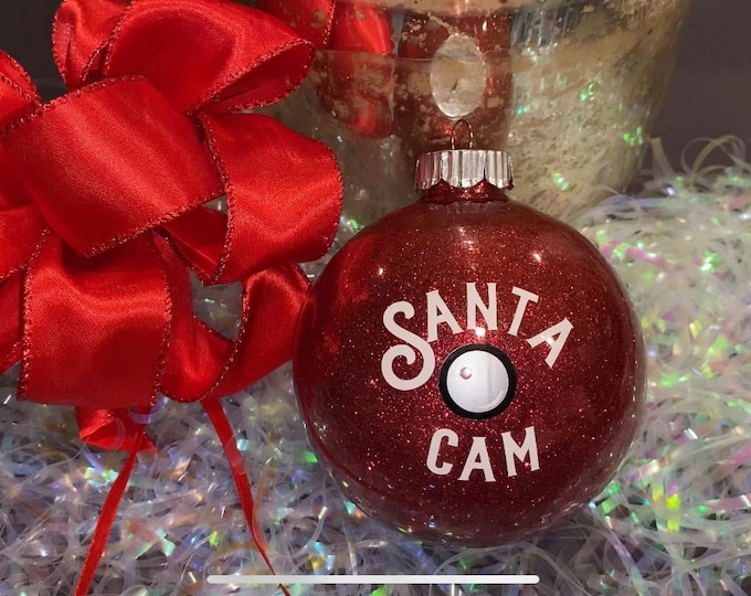 Santa Cam, Elf Cam, Grinch Cam, Christmas Ornament, Home Decor ...