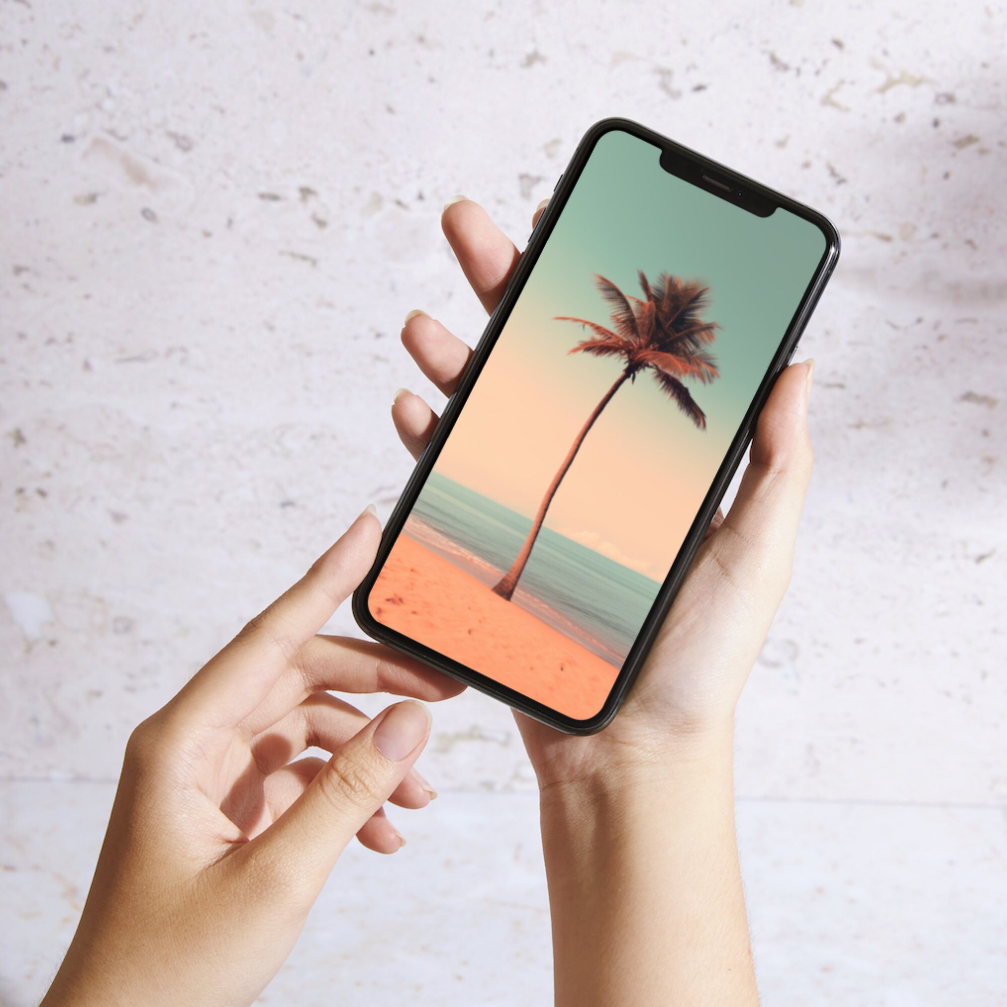 Palm Tree iPhone Wallpaper Tropical Phone Backgrounds Palm Trees Beach ...