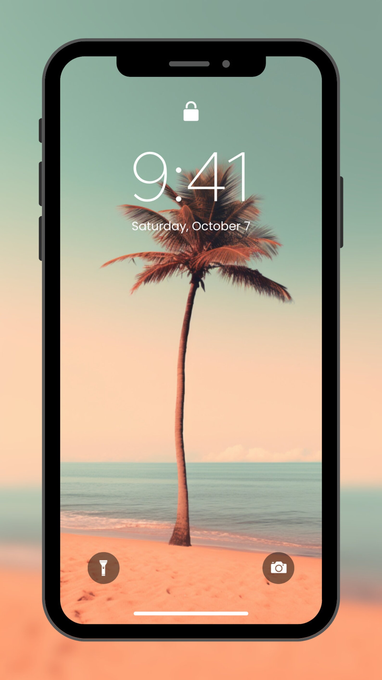 Palm Tree iPhone Wallpaper Tropical Phone Backgrounds Palm Trees Beach ...