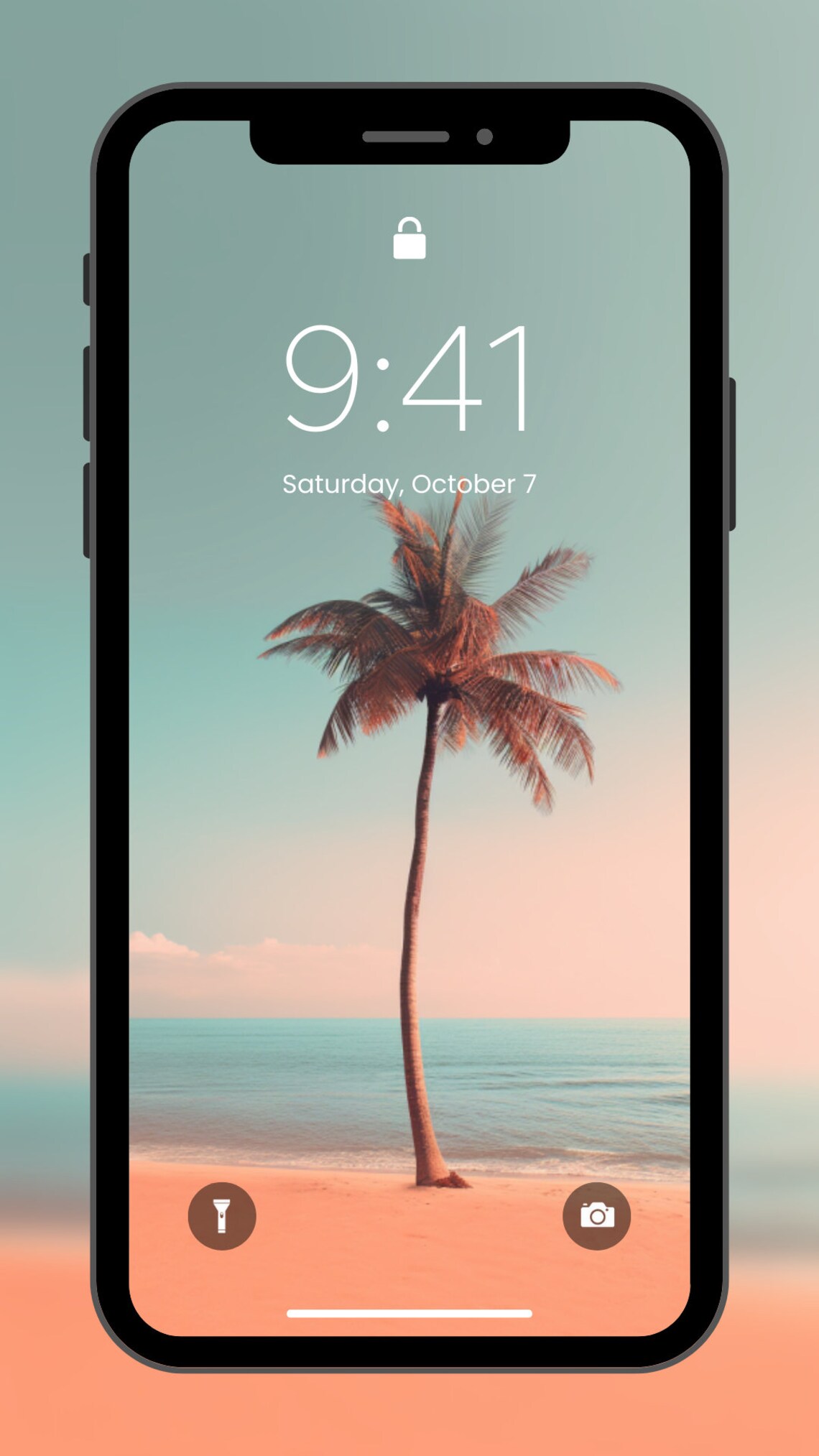 Palm Tree iPhone Wallpaper Tropical Phone Backgrounds Palm Trees Beach ...