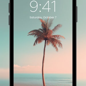 Palm Tree iPhone Wallpaper Tropical Phone Backgrounds Palm Trees Beach ...