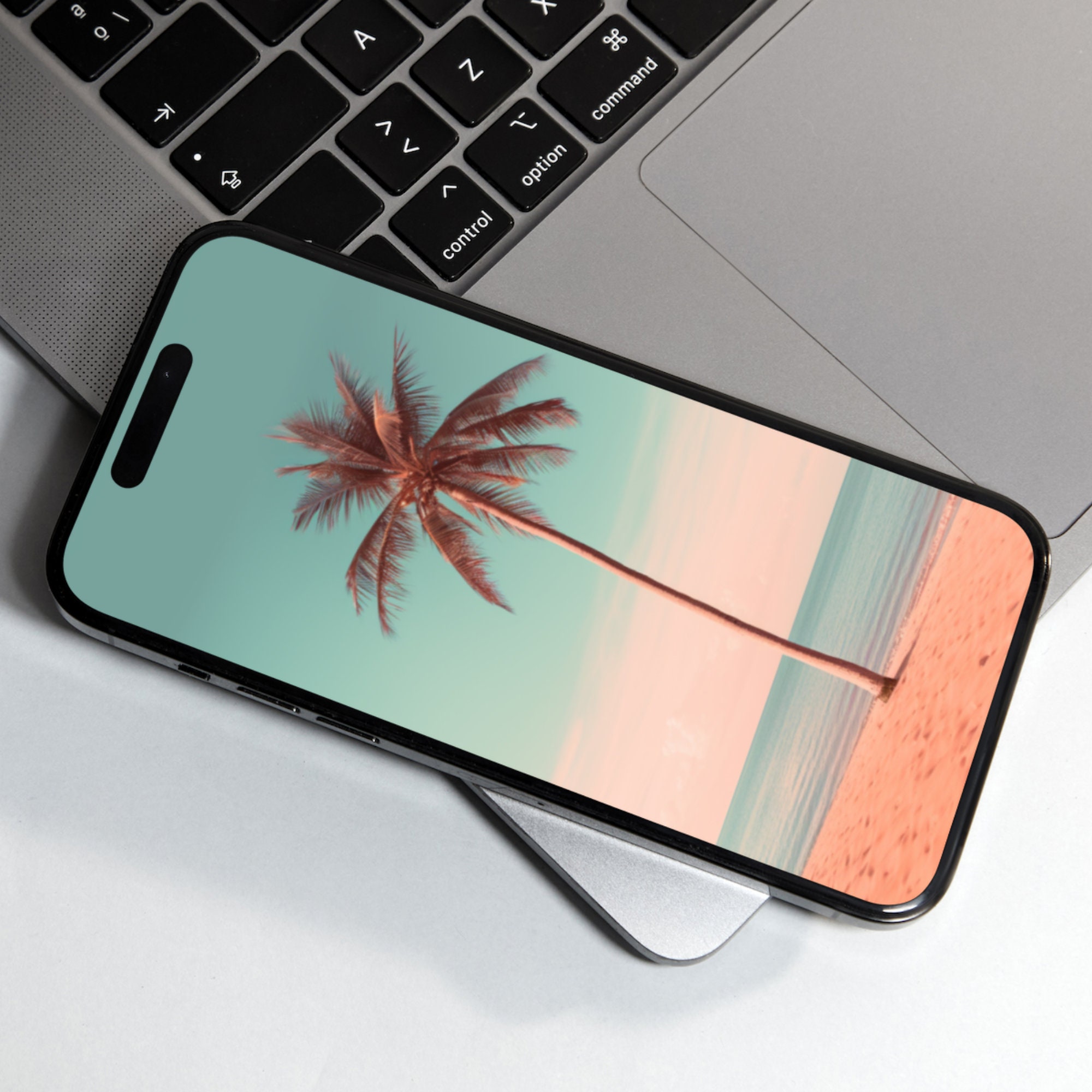 Palm Tree iPhone Wallpaper Tropical Phone Backgrounds Palm Trees Beach ...