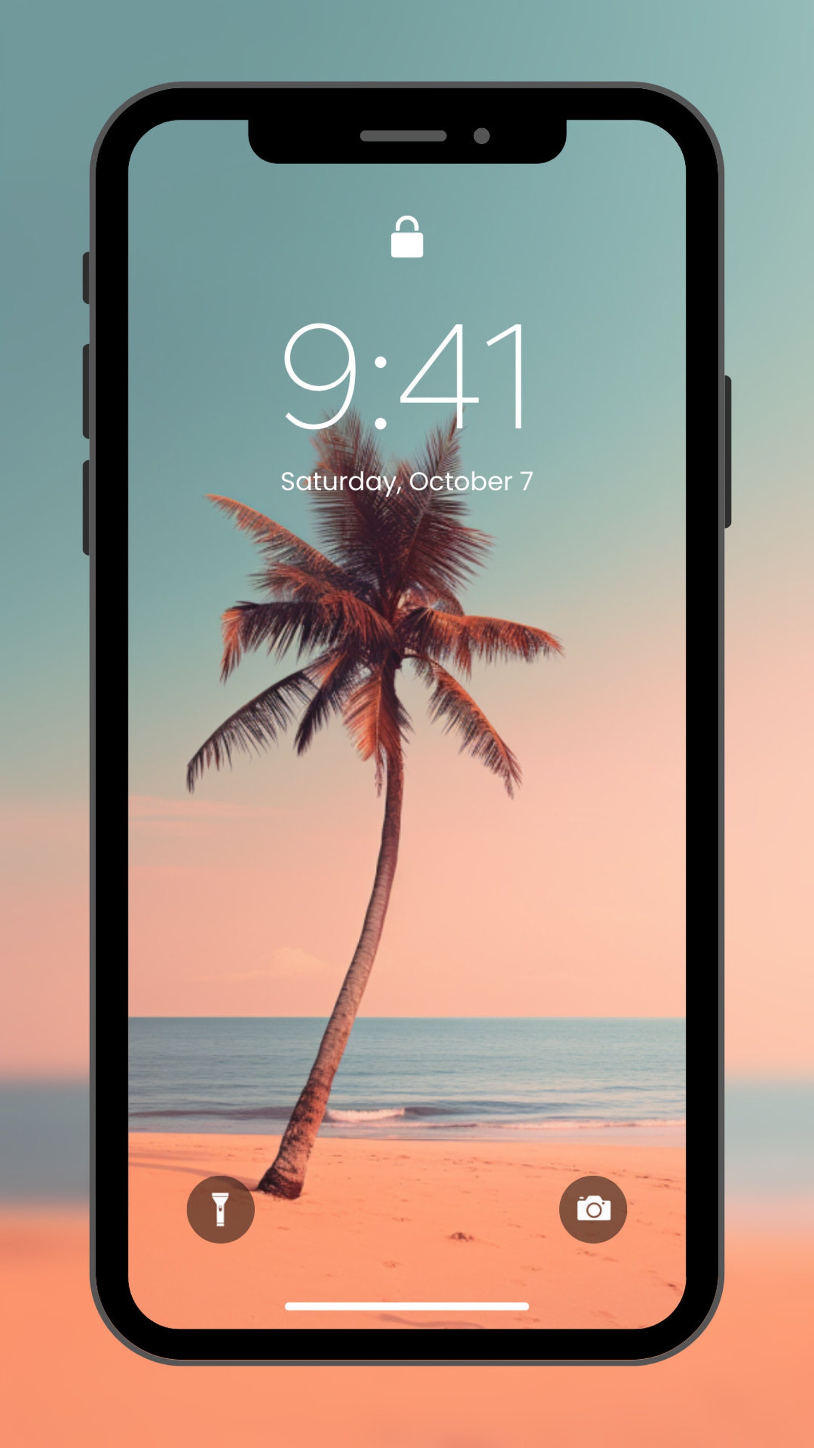 Palm Tree iPhone Wallpaper Tropical Phone Backgrounds Palm Trees Beach ...