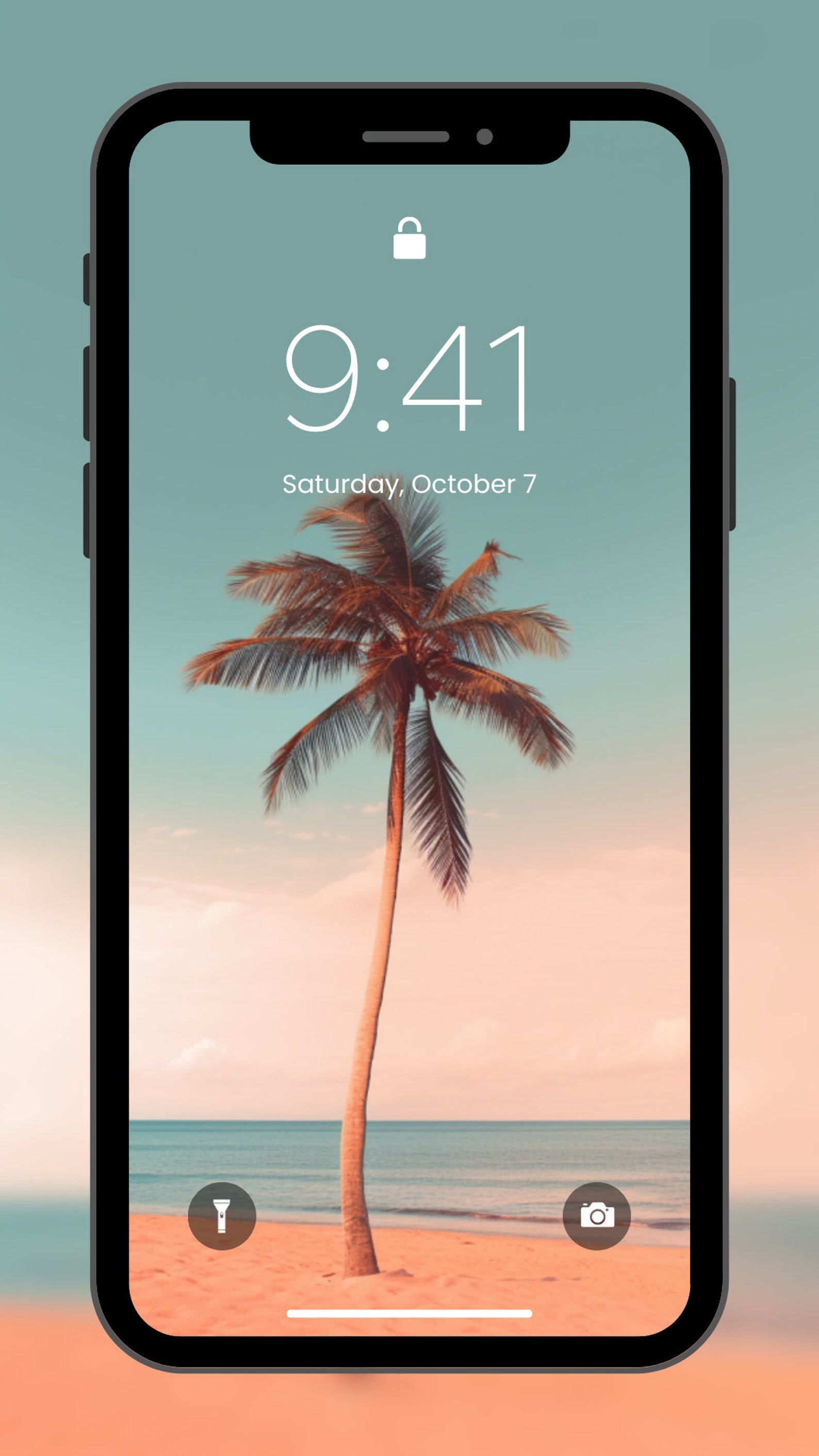 Palm Tree iPhone Wallpaper Tropical Phone Backgrounds Palm Trees Beach ...