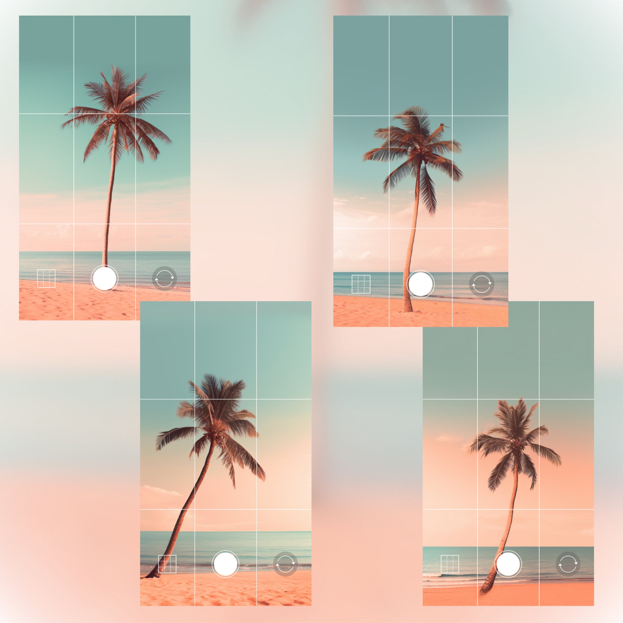 Palm Tree iPhone Wallpaper Tropical Phone Backgrounds Palm Trees Beach ...