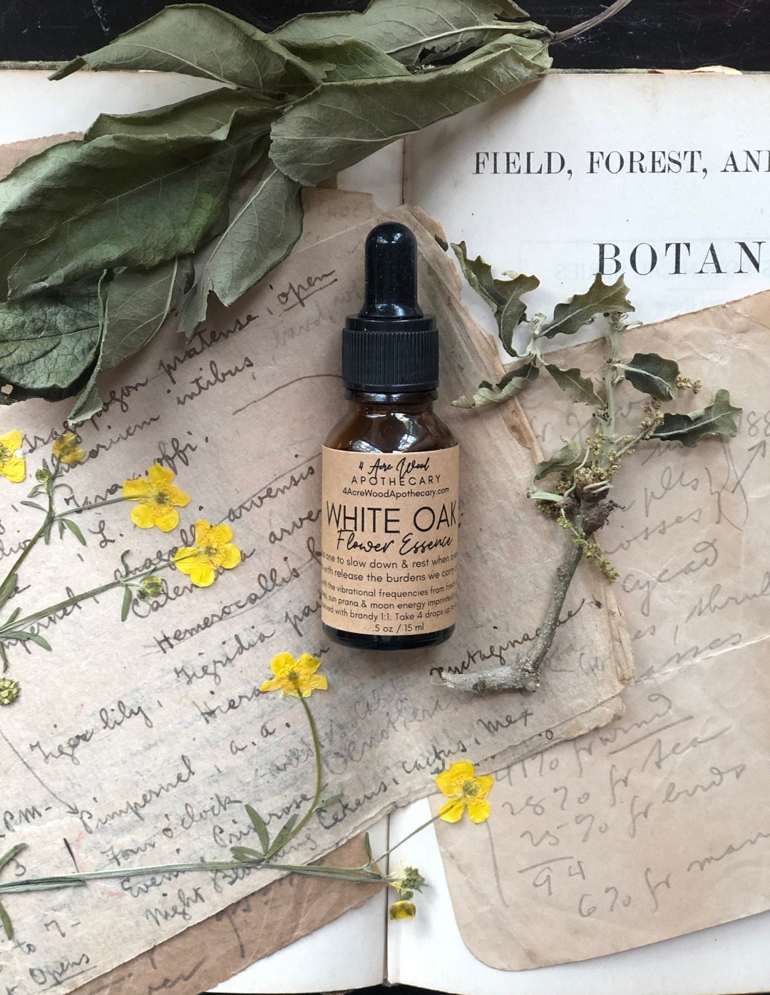 White Oak Flower Essence for the Overworked & Burdened Caretakers - Etsy