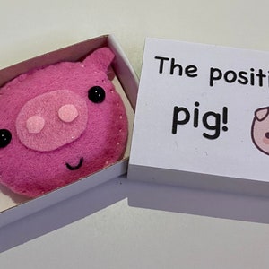 Mini Pig Matchbox Gift Positive Gift Positivity Gift - Etsy