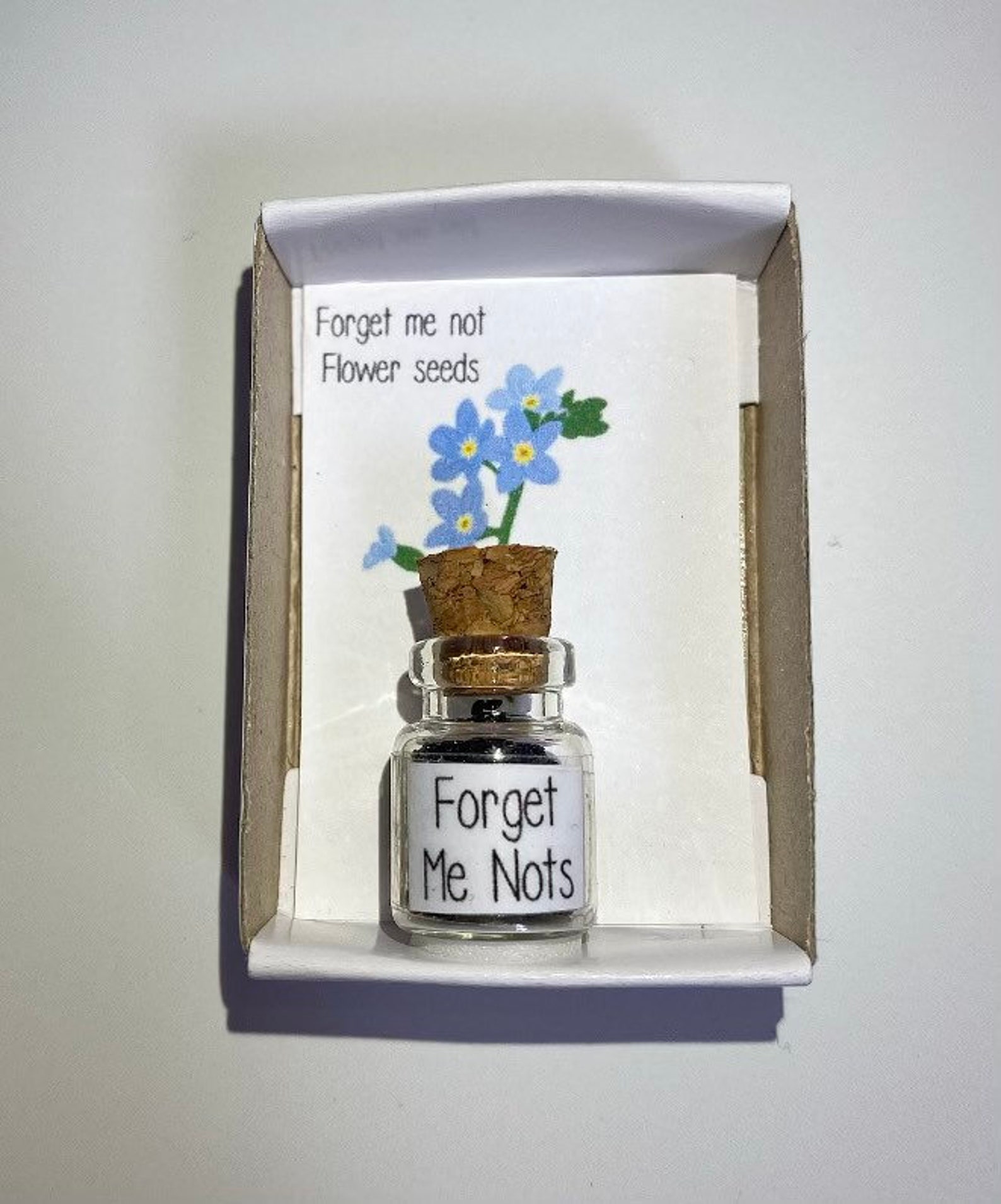 Forget Me Not Flower Seeds Matchbox Gift Remembrance Gift - Etsy UK