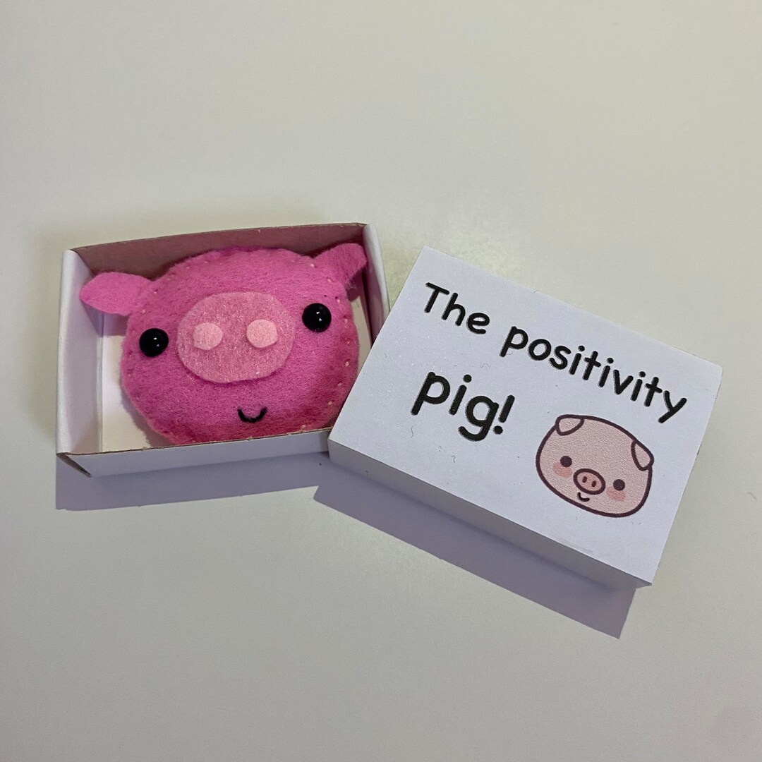 Mini Pig Matchbox Gift Positive Gift Positivity Gift - Etsy