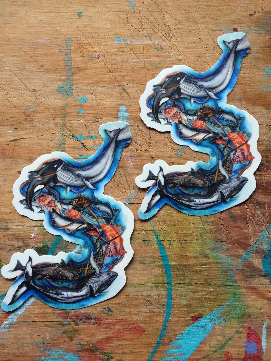 Fish Frenzy Vinyl Sticker - Etsy