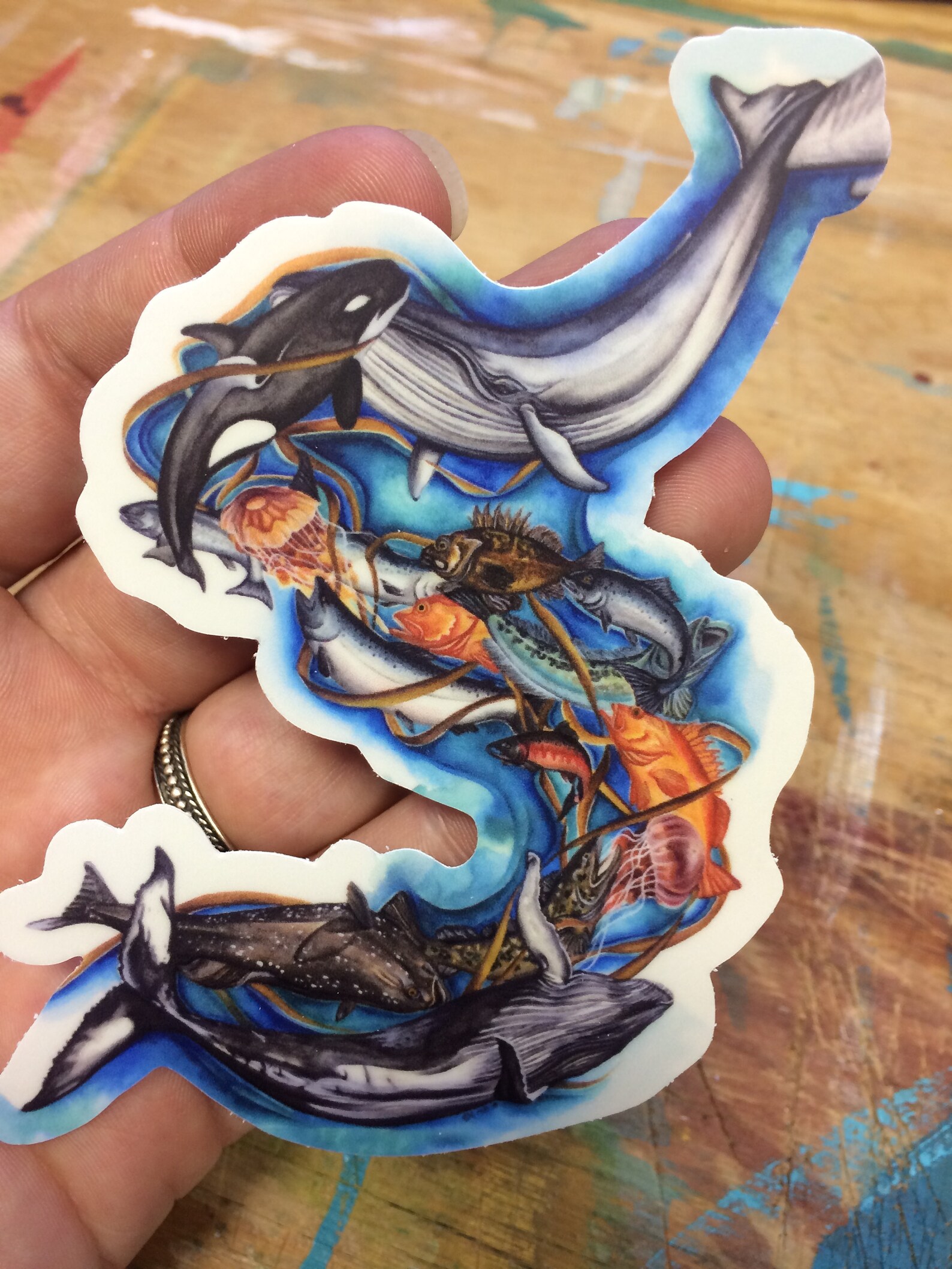 Fish Frenzy Vinyl Sticker - Etsy