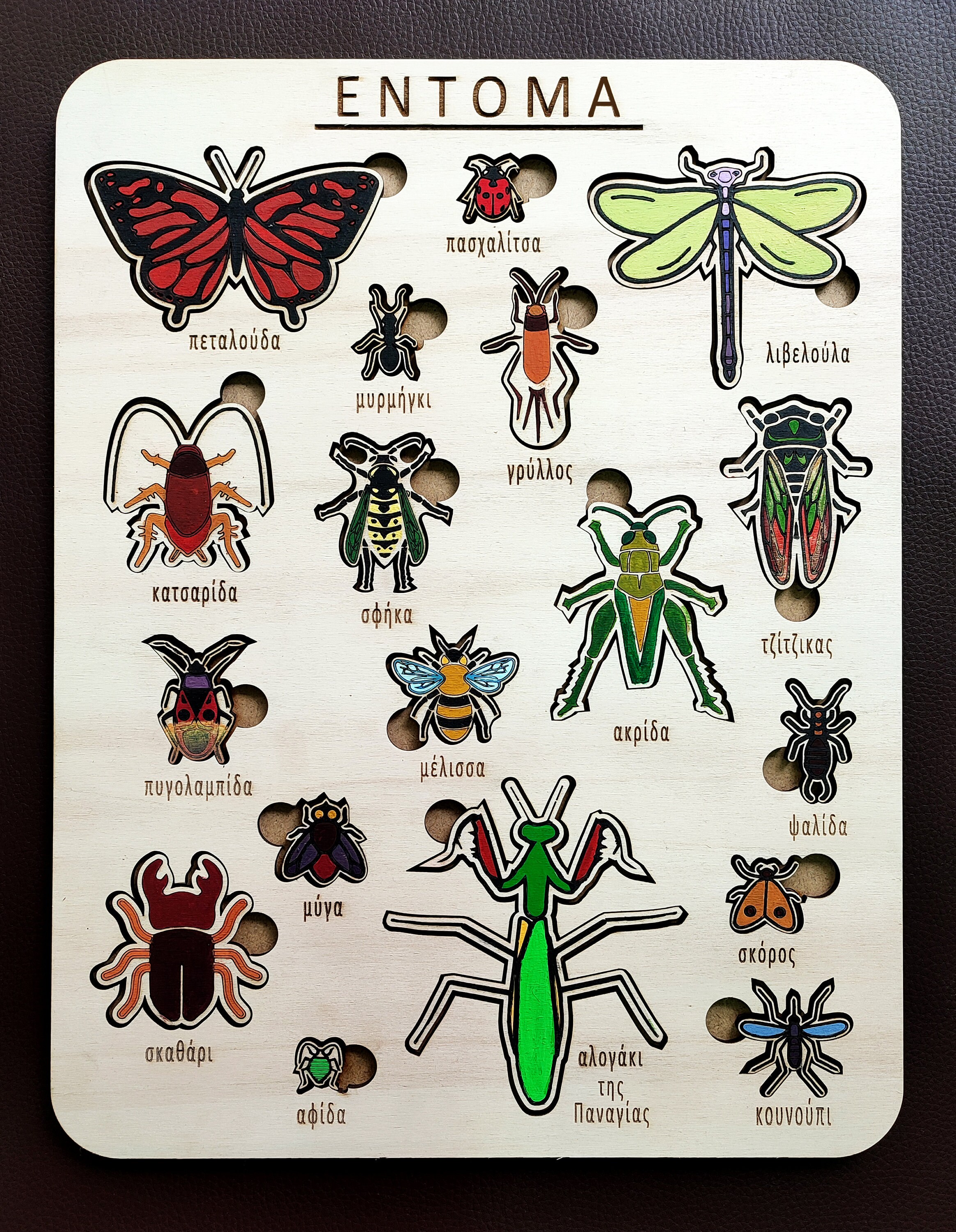Educational Puzzle "insects" - Etsy