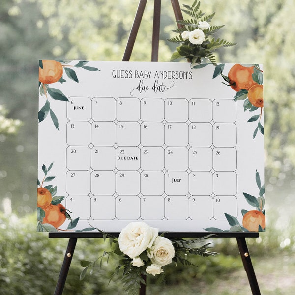 Citrus Baby Shower - Etsy