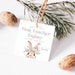 Easter Teacher Appreciation Gift Tag Printable, Any Bunny Spring Gift ...