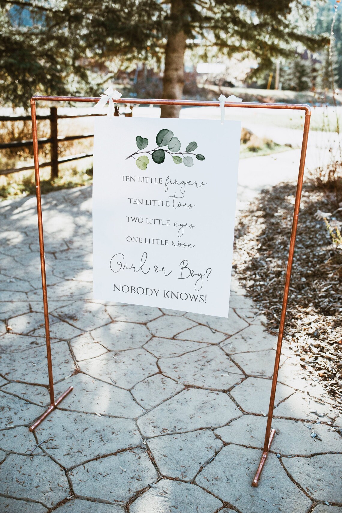 Boy or Girl Sign Printable Sign, Ten Little Fingers, Ten Little Toes ...