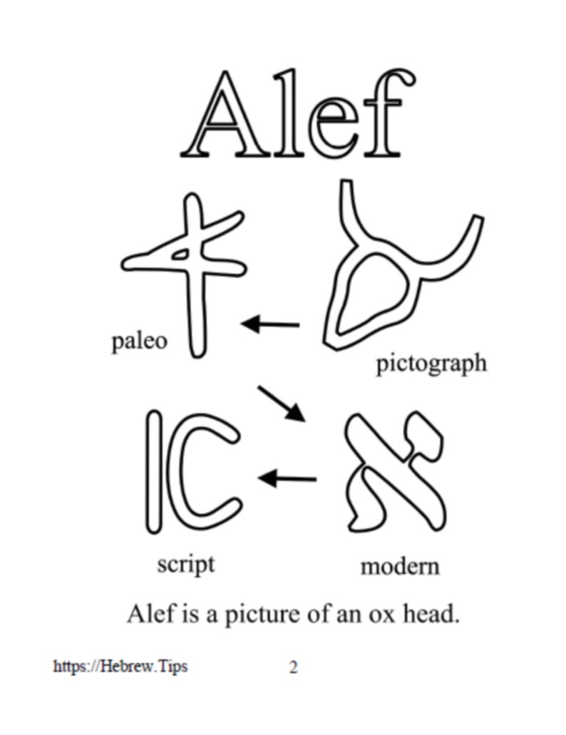 Alef Bet Coloring Page Yideaz School Pages Sketch Coloring Page