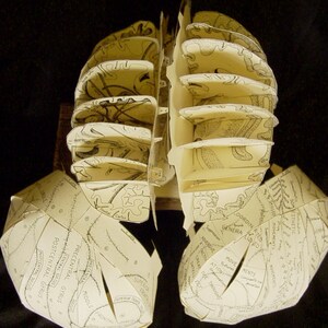 3D Human Brain Anatomy Paper Construction Kit - Etsy