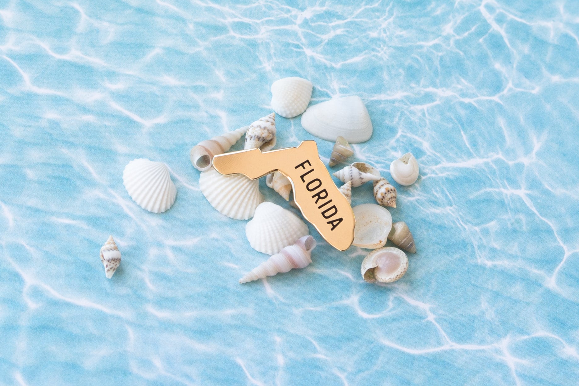 Florida Enamel Lapel Pin // gold / florida pin / miami / tampa | Etsy