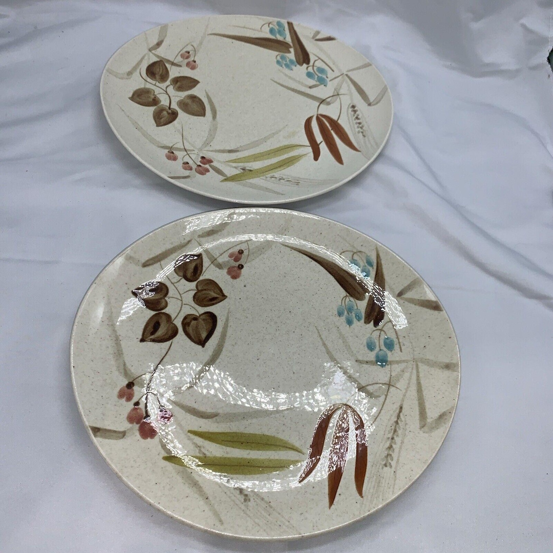 2 PC Vtg Red Wing Random Harvest Stoneware Pottery Dinner Plates TS4 88 ...