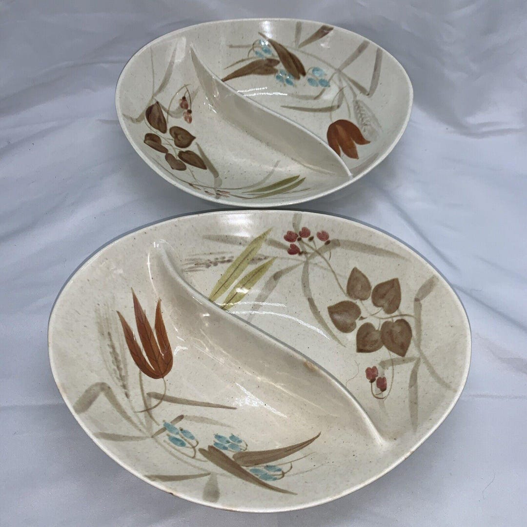 2 PC Vtg Red Wing Random Harvest Stoneware Pottery 10" Divided Bowl TS4 ...