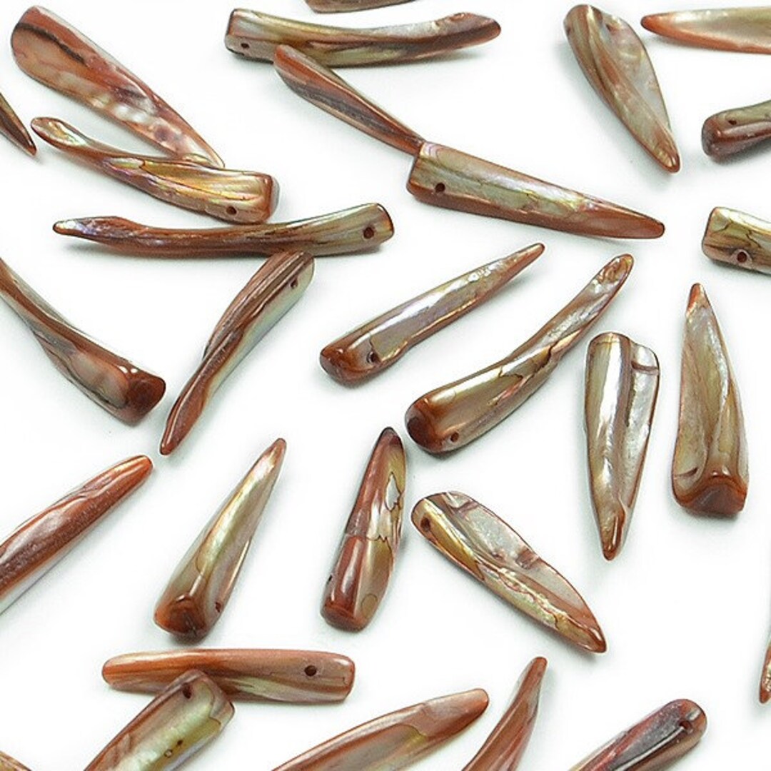 Sea Shell Spike Beads 16 Strand 62-66 Hand Crafted Natural - Etsy