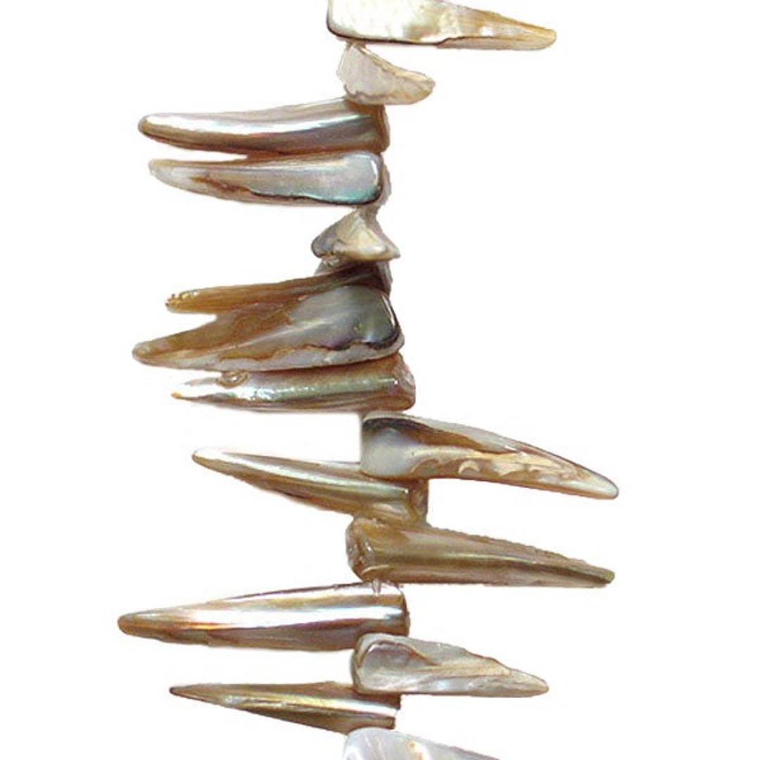 Sea Shell Spike Beads 16 Strand 62-66 Hand Crafted - Etsy