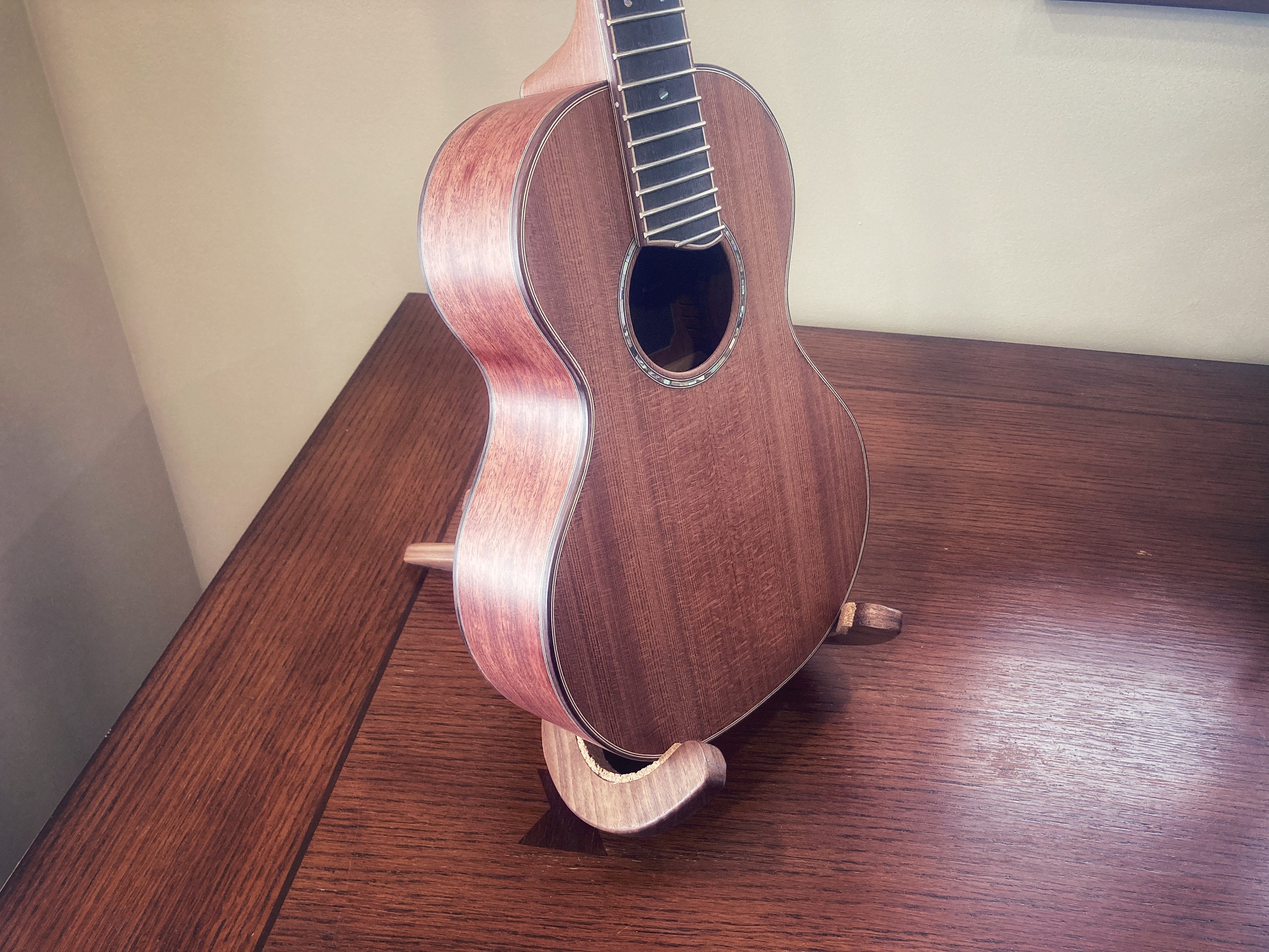 Ukulele Stand | ppgbbe.intranet.biologia.ufrj.br