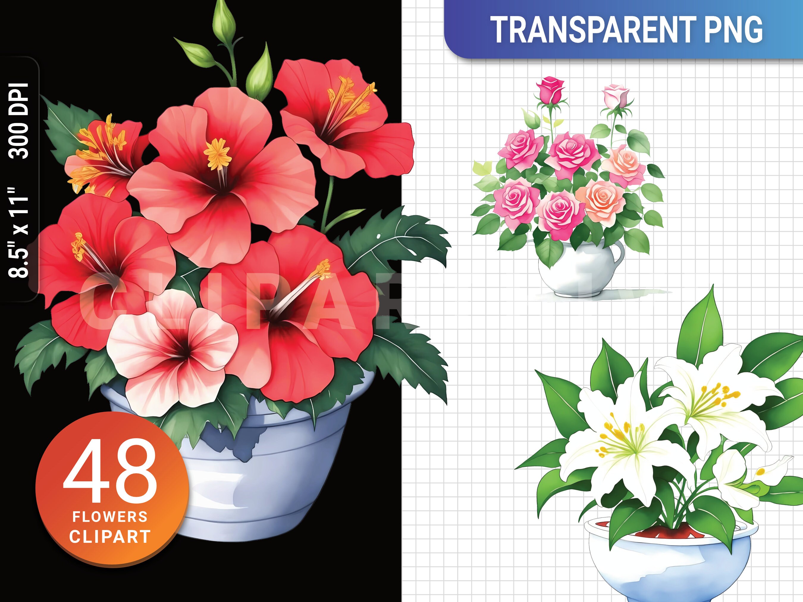 Watercolor Flower PNG Clipart, 48 Transparent Background Beautiful ...