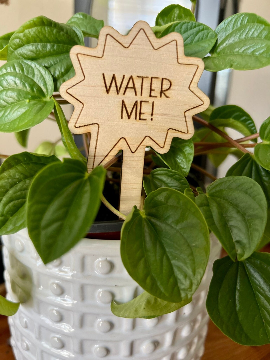 Funny Plant Stakes Crazy Plant Lady Acrylic Plant Sticks Plant Mom ...