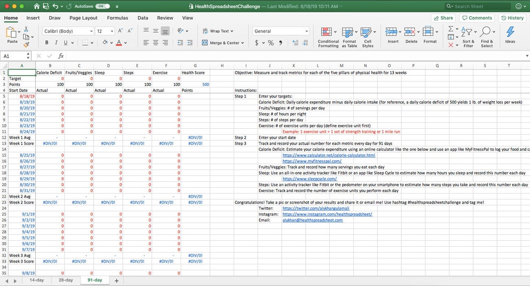 Health Spreadsheet Challenge - Etsy