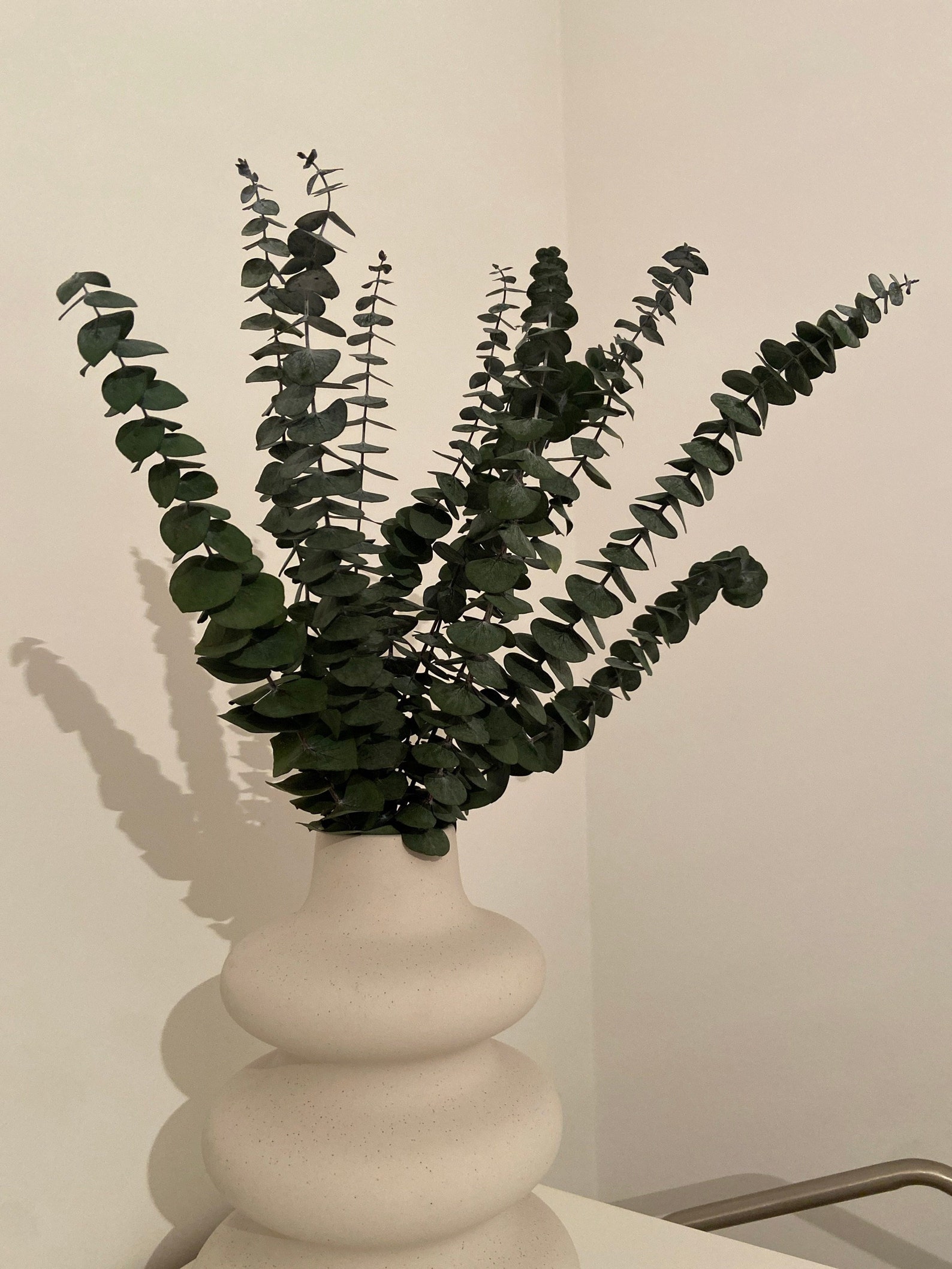 Preserved Eucalyptus Branches, DIY Flower Arrangement, Family Wedding ...
