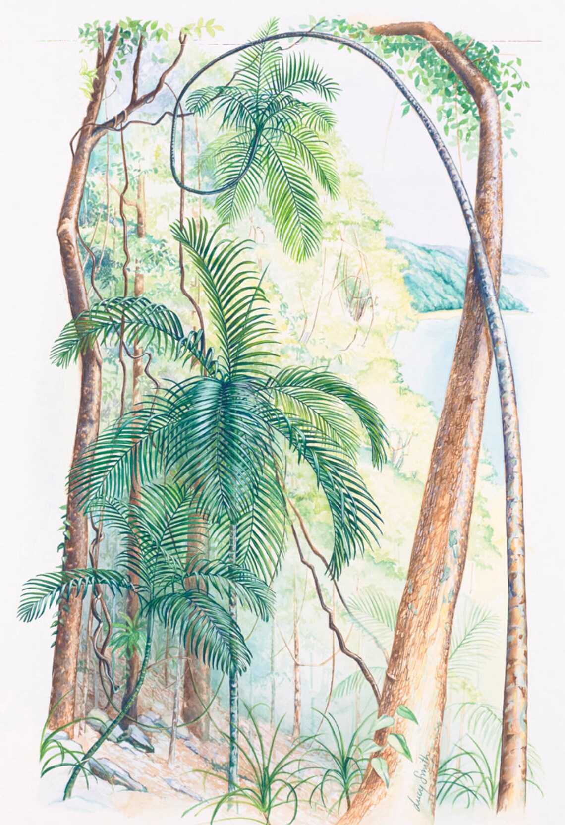 Botanical Postcards - Etsy