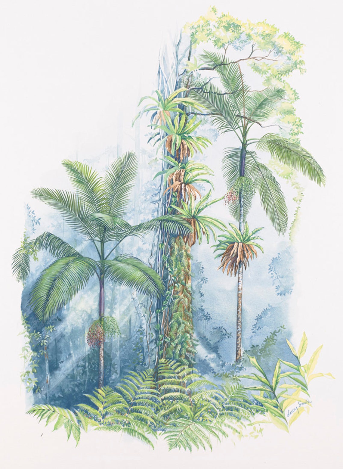 Botanical Postcards - Etsy