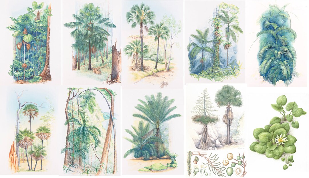 Botanical Postcards - Etsy