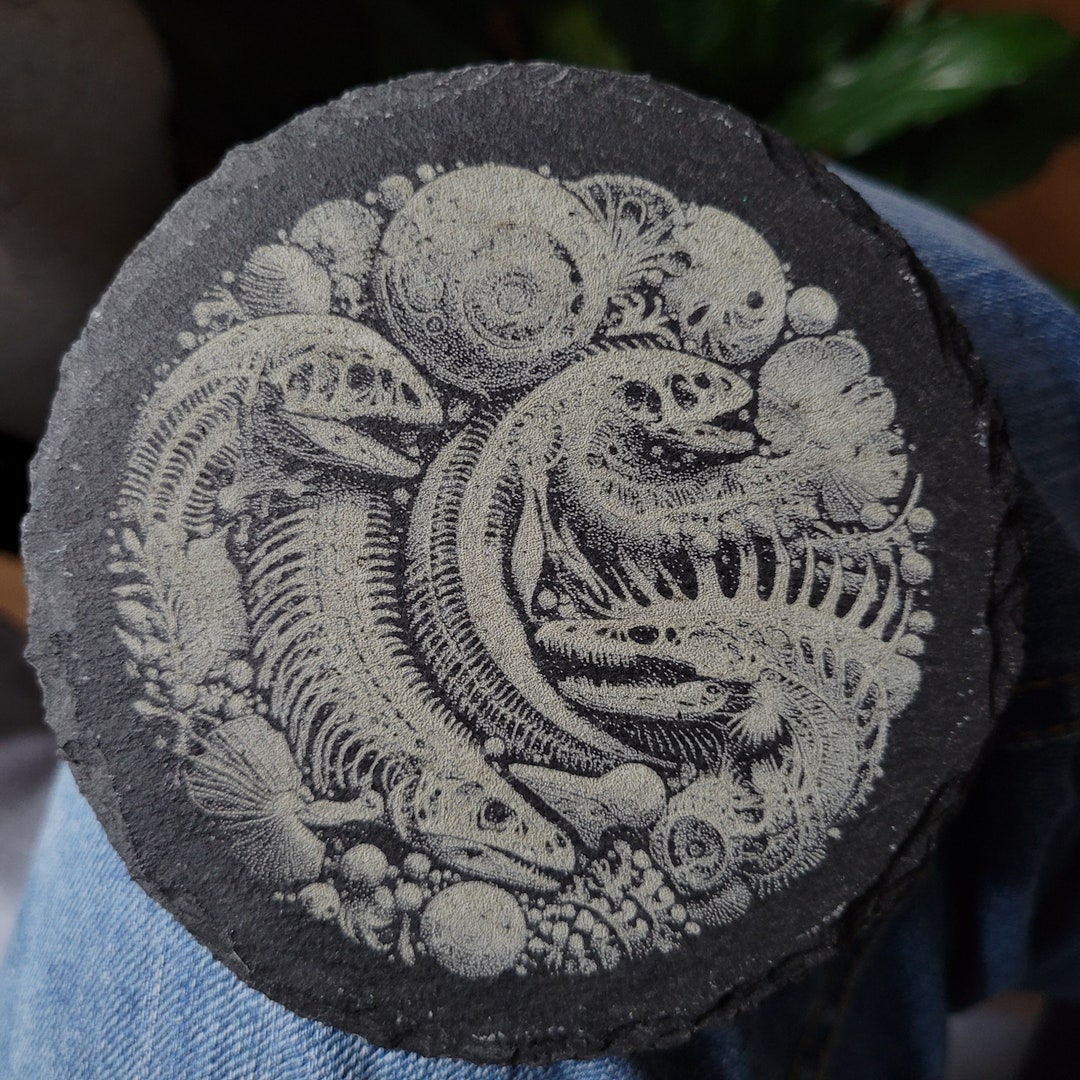 Dinosaur Inspired Fossil Drinks Coaster Slate - Etsy