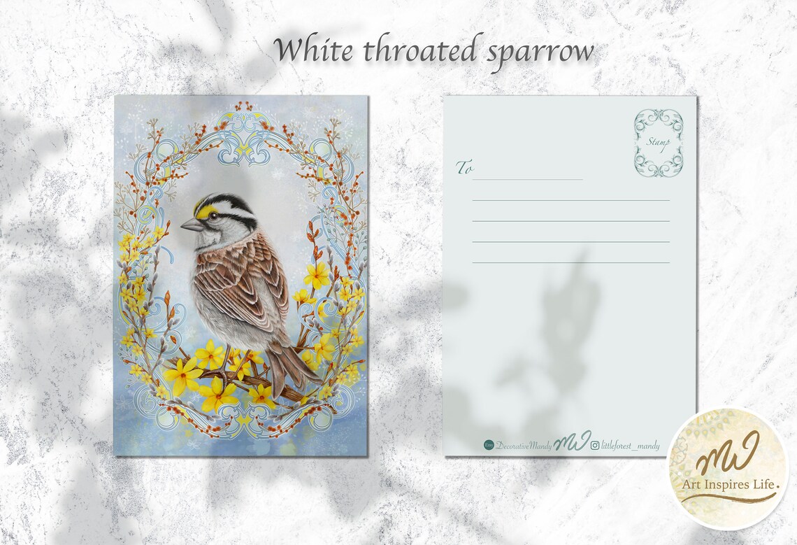 Bird and Botanical Postcards, Postcard Set, Nature Postcards ...